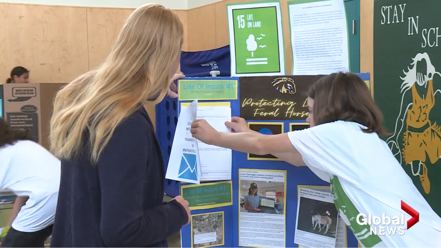 Grade 6 student prompts government to install feral horse signs in ...